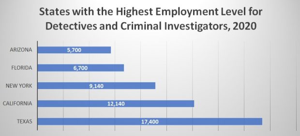 Steps to Become a Detective